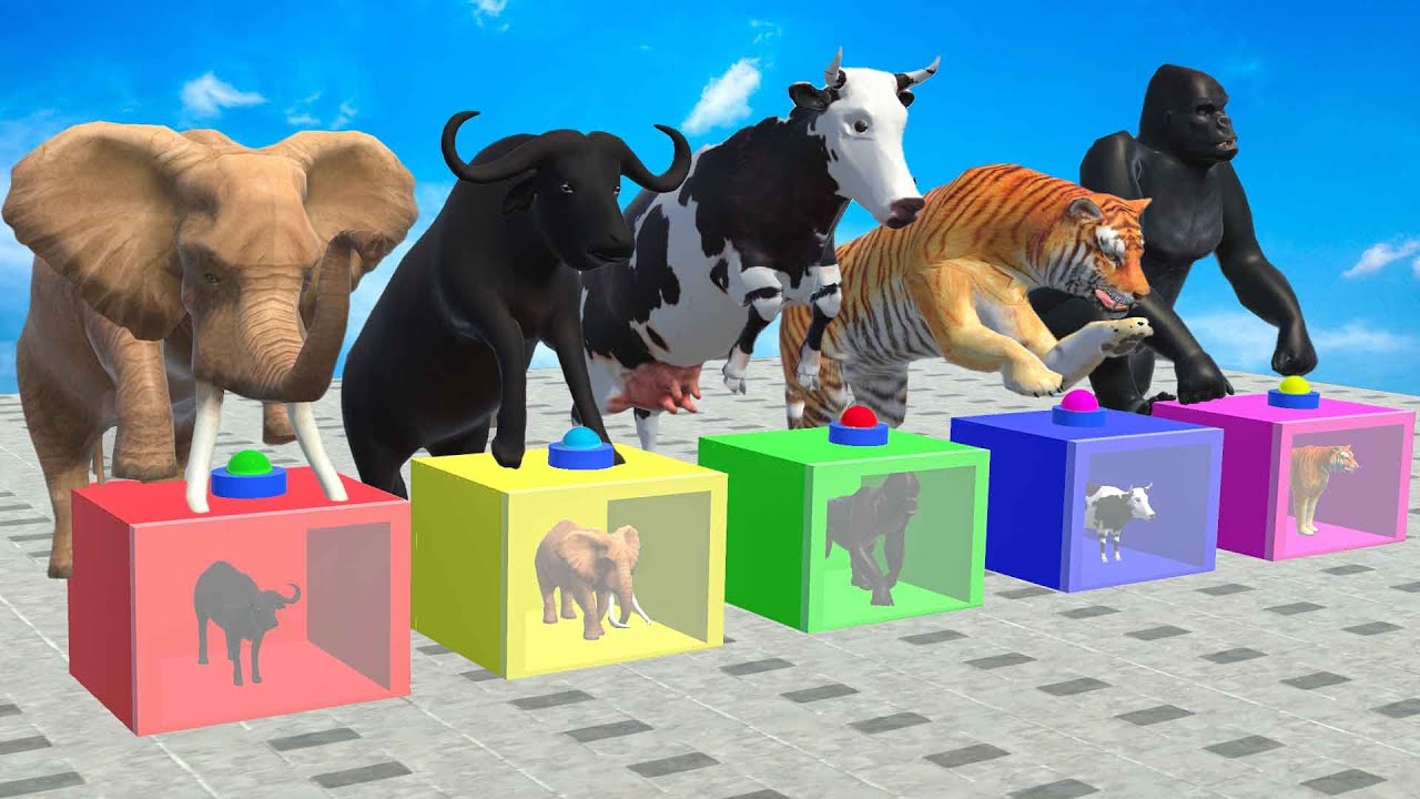 Long Slide Game With Elephant Gorilla Buffalo Hippopotamus Tiger - 3d ...