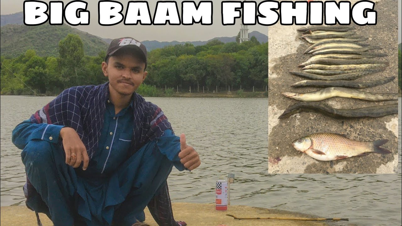 Big Baam fishing . CAUGHTING VERY BIG BAAM FISH || EEL FISHING - YouTube