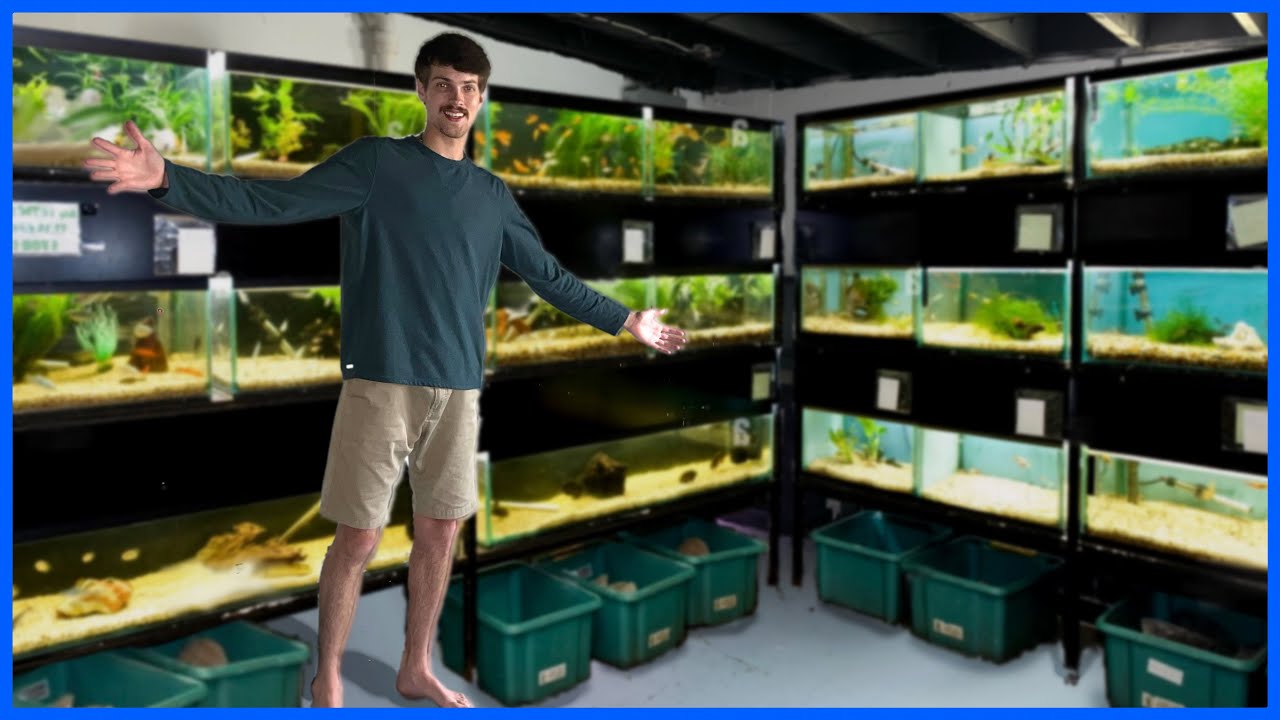 Building A FISH SHOP In My Basement! - YouTube