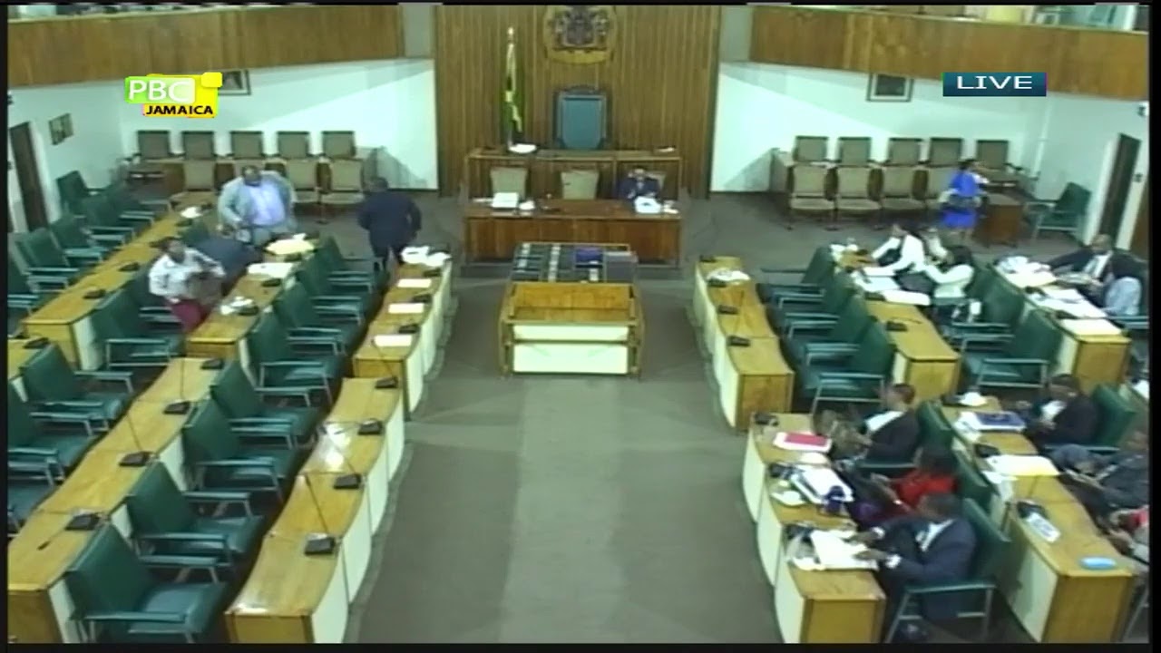 Joint Select Committee on the Occupational Health and Safety Act 2017 ...