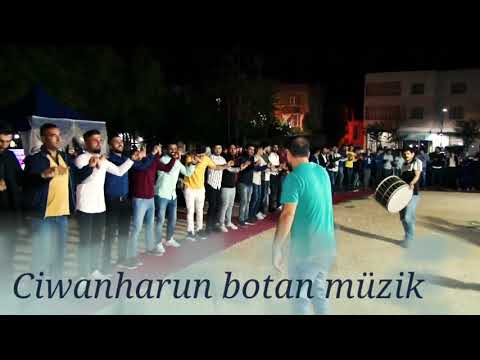 Ciwan harun muhteşem halay