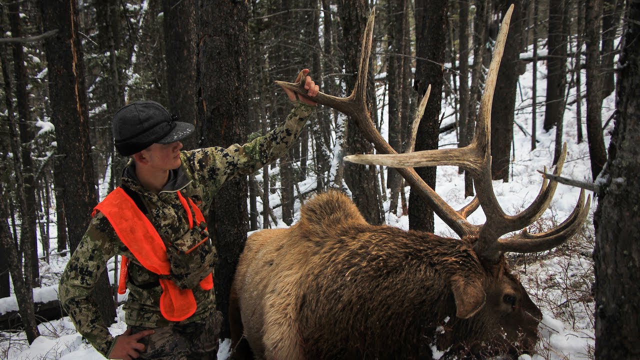 High Country Bull | EP.2 | Late Season Elk Hunt - YouTube