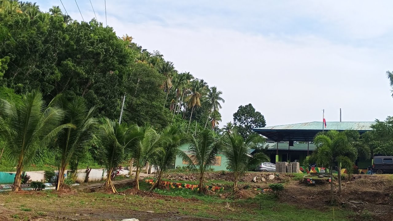 Lintugop National High School Grade 12 TVL: Aquaculture Students Join ...