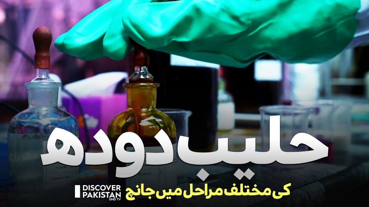 The famous brand Haleeb milk is tested through what stages | Discover ...
