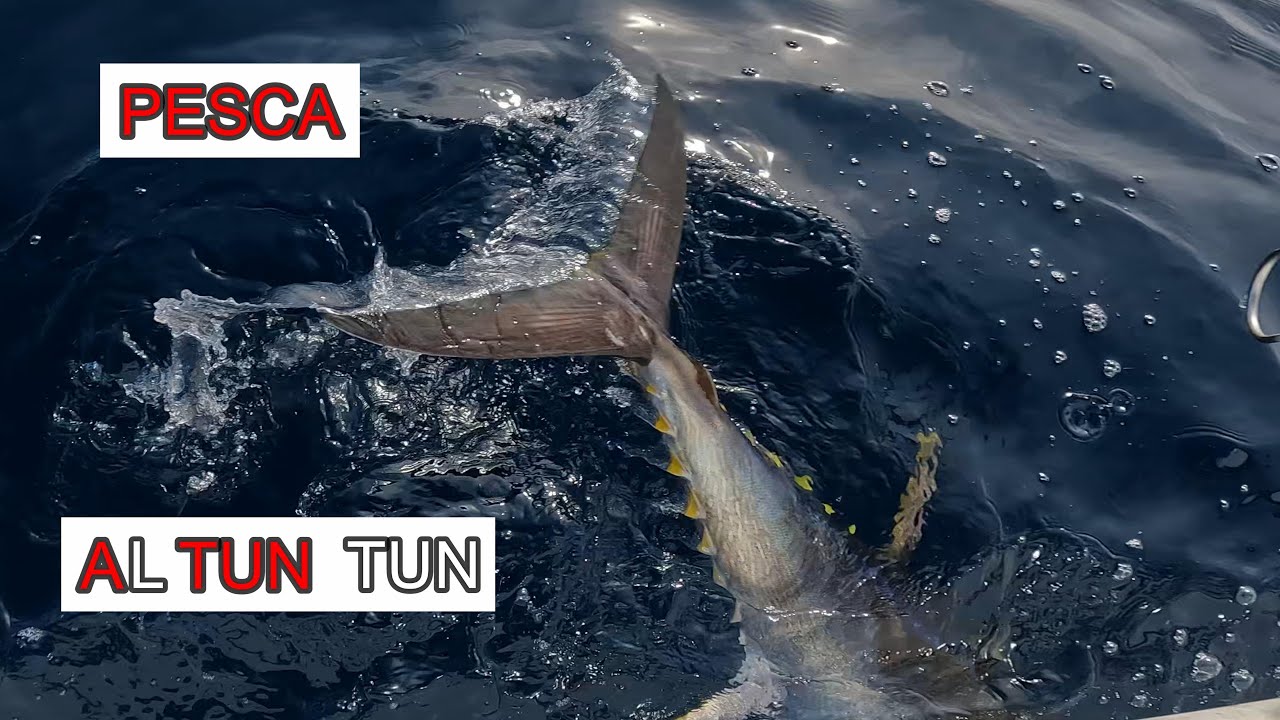 Pesca Al TUN tun - YouTube