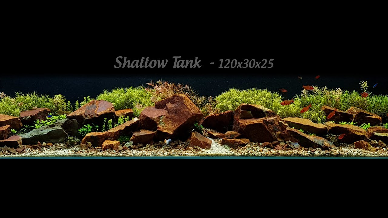 Making of shallow tank 120x30x25 - YouTube