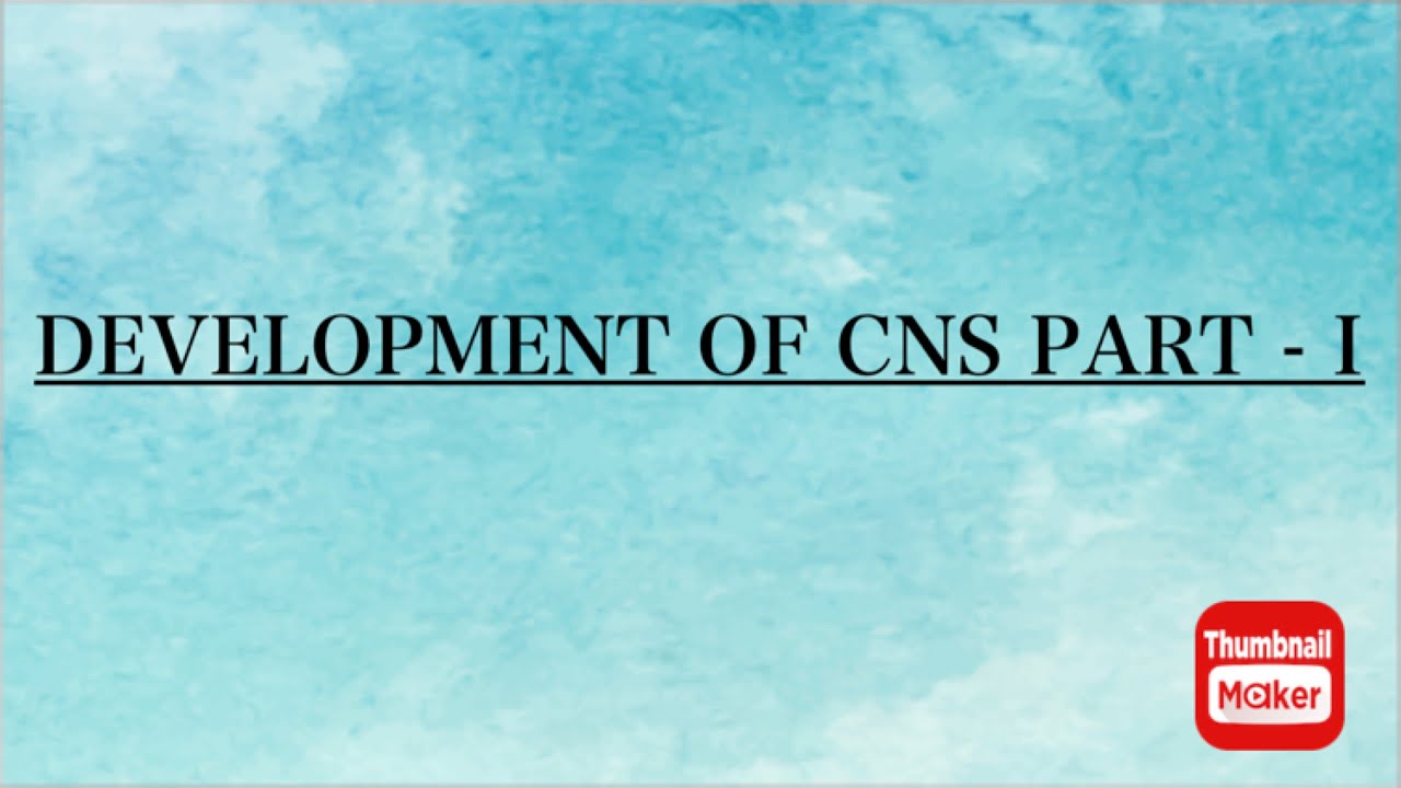 Introduction to development of CNS - YouTube