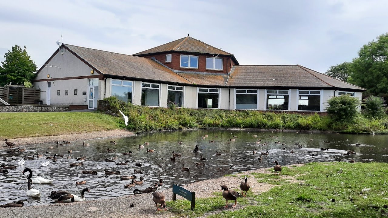 WWT Llanelli wetland center 2nd August 2020 - YouTube