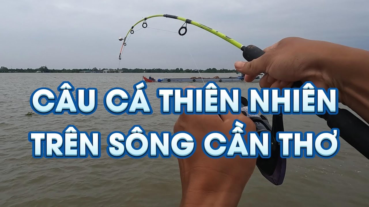 CÂU CÁ THIÊN NHIÊN TRÊN SÔNG CẦN THƠ - YouTube
