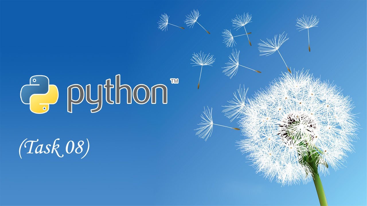 Python - Task 08 - YouTube