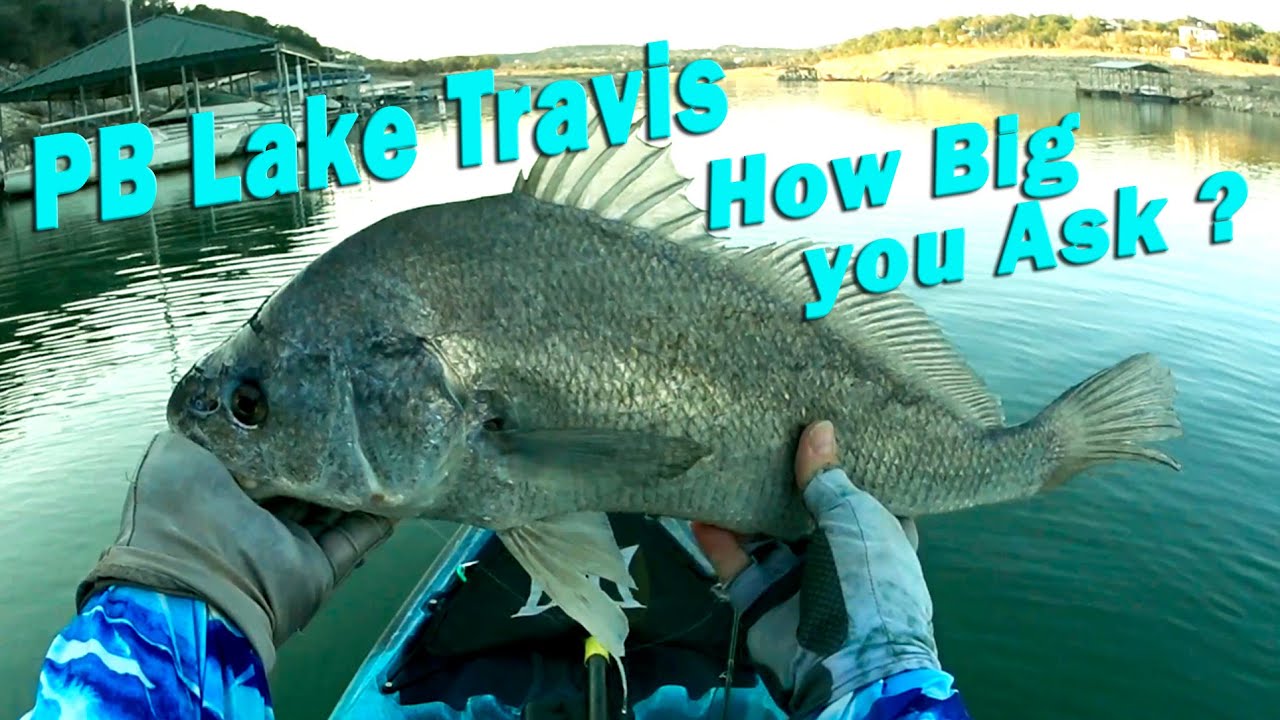 Fly Fishing I Need A Bigger Net - YouTube