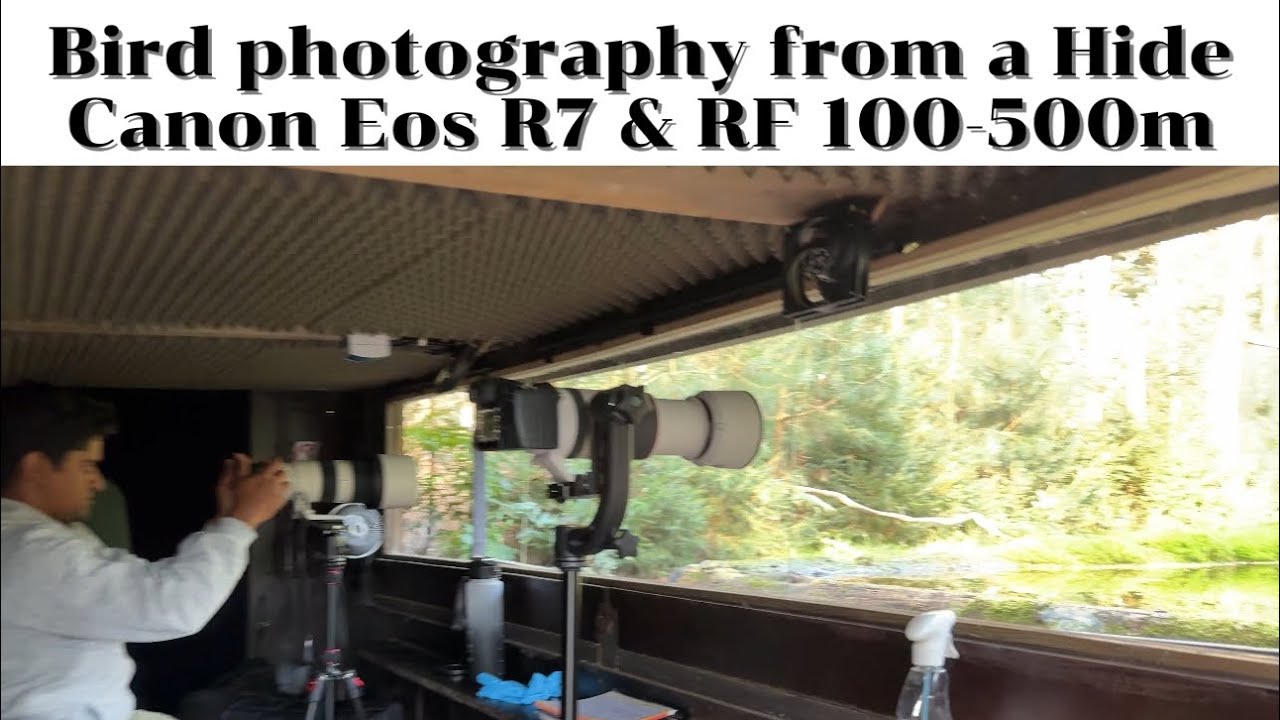 Outdoor Photography in a Bird Hide | Wildlife & bird photography Canon ...