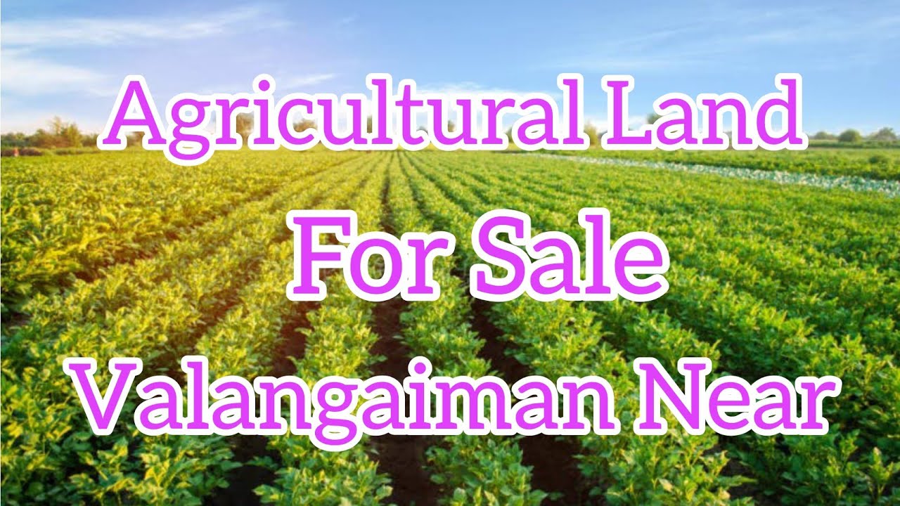 Agricultural Land For Sale In Valangaiman Near l # ...
