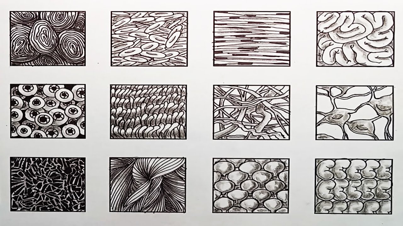 12 Zentangle Patterns Inspired by the Human Body - YouTube