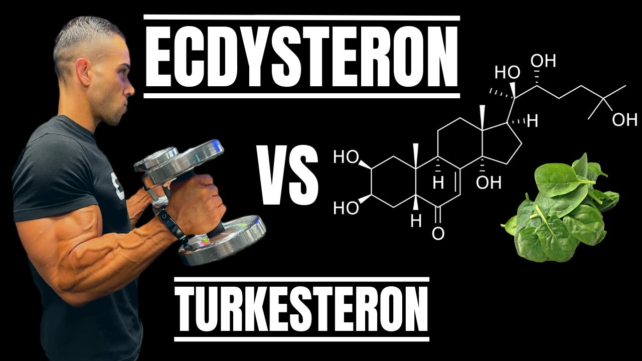 ECDYSTERON vs. TURKESTERON - Nebenwirkungsfreie Anabolika?! - YouTube