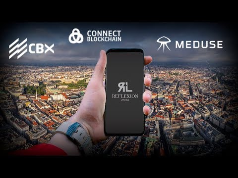 OVERVIEW ICO🔥REFLEXION – The Global Digital Currency Franchise Network ...