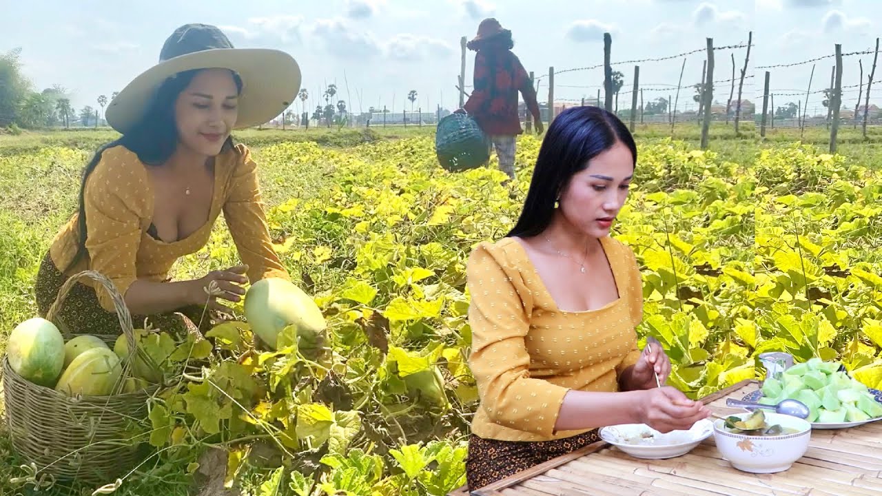 Do I Cook The Melon Fruit For Food?| Thyda Village Lifestyle - YouTube