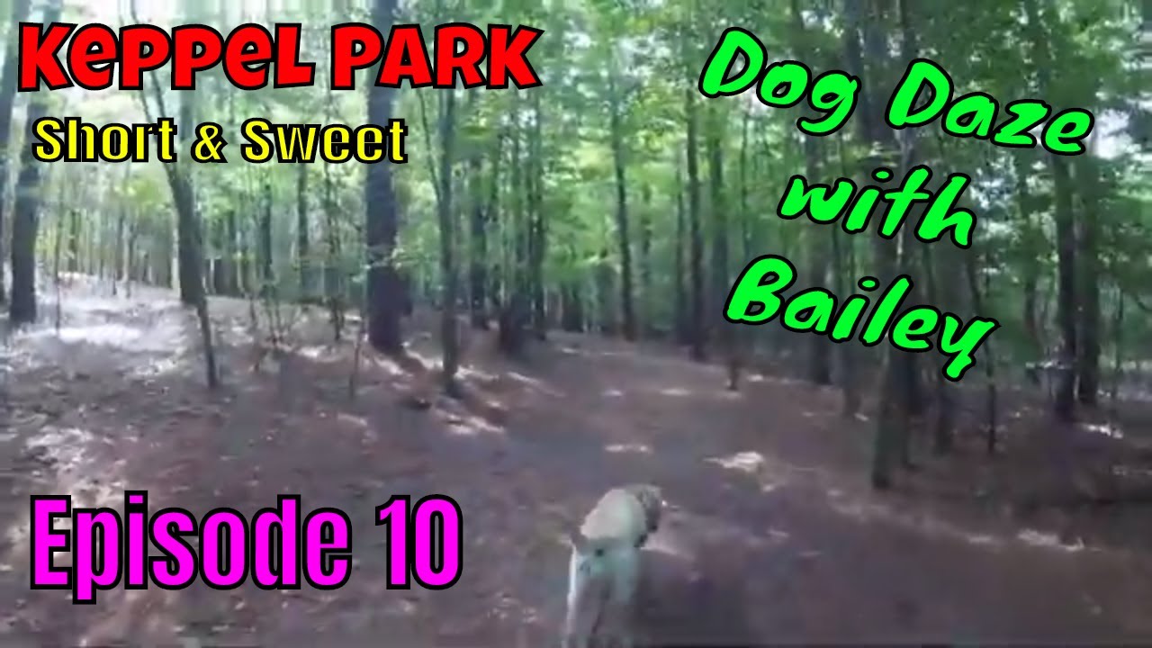 Dog Daze 🐶 Episode 10 - Keppel Park in Holland Michigan - YouTube