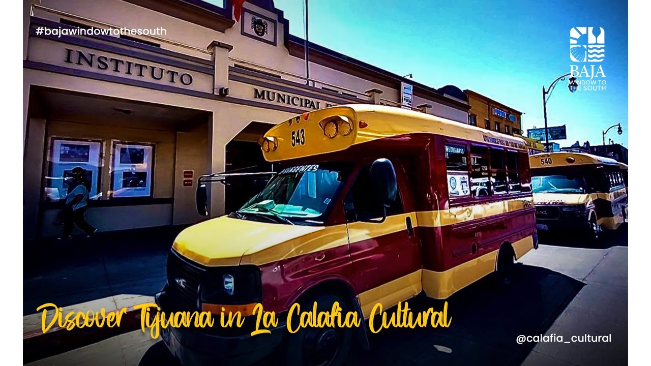 Discover Tijuana📍 in La Calafia Cultural 🦓 - YouTube