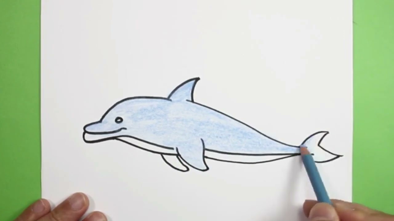 رسم دلفين Youtube