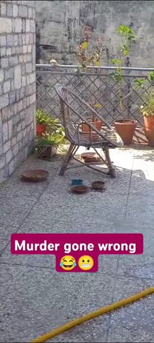 The innocent look after getting caught 😹🤫 - YouTube