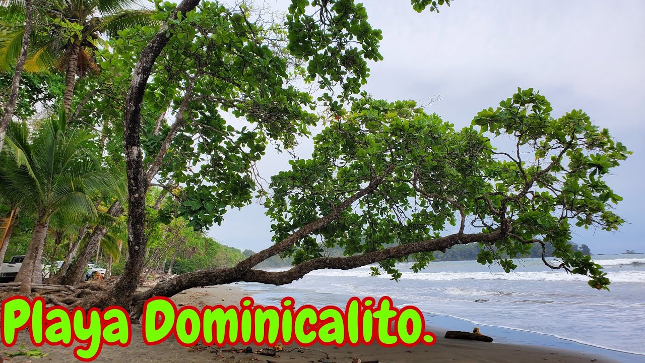 PLAYA DOMINICALITO, Puntarenas, Costa Rica 🇨🇷 Un Lugar PARA Disfrutar ...