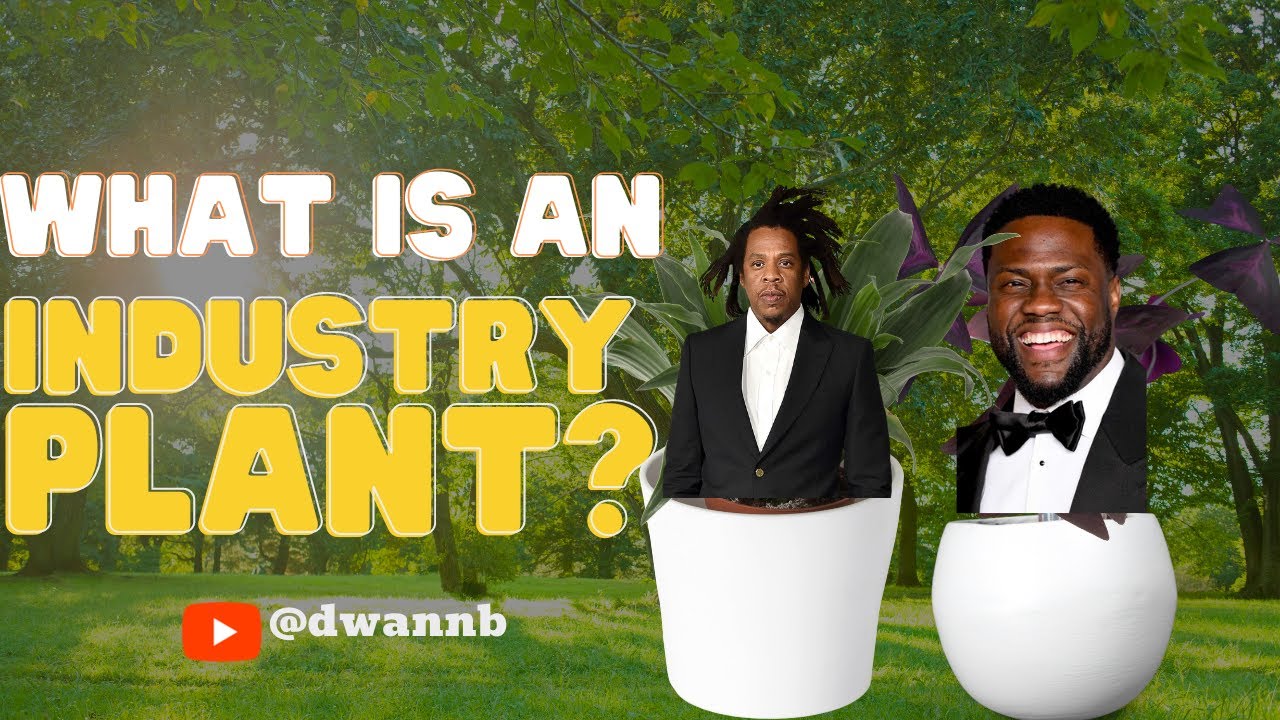 What is an industry plant? Kevin Hart? Jay Z? - YouTube