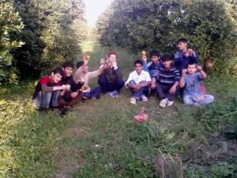 uçan kelebekler.mp4