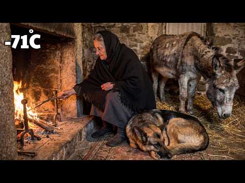 A Loyal Dog Saves His Best Friend | Surviving –71°C in Siberia