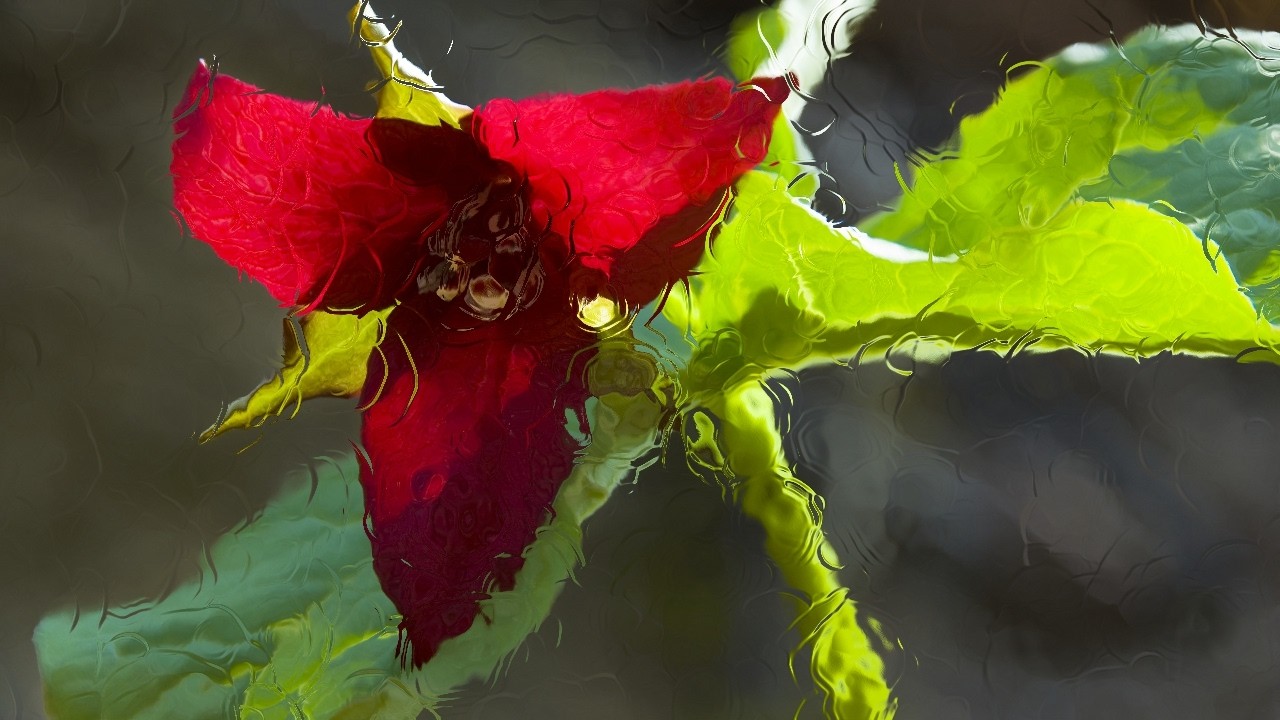 Liquid Displacement Effect in Touchdesigner - YouTube