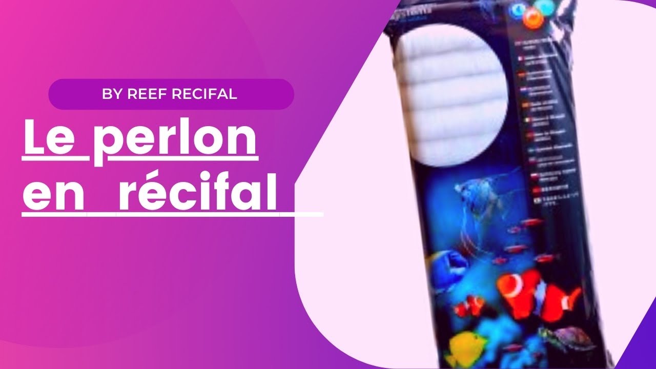 Le perlon en récifal - YouTube