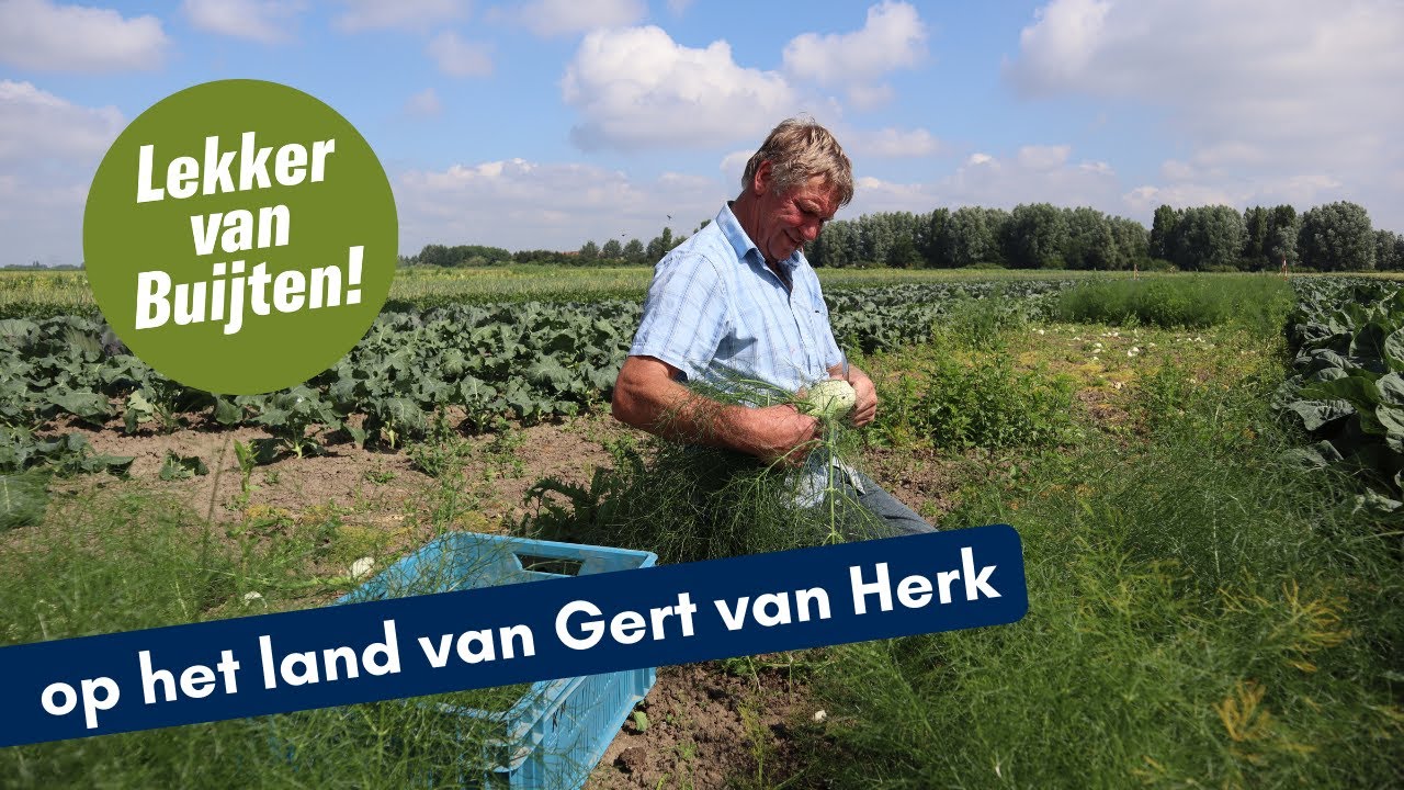 Gert van Herk brengt groenten naar de Rotterdamse Oogstmarkt ...