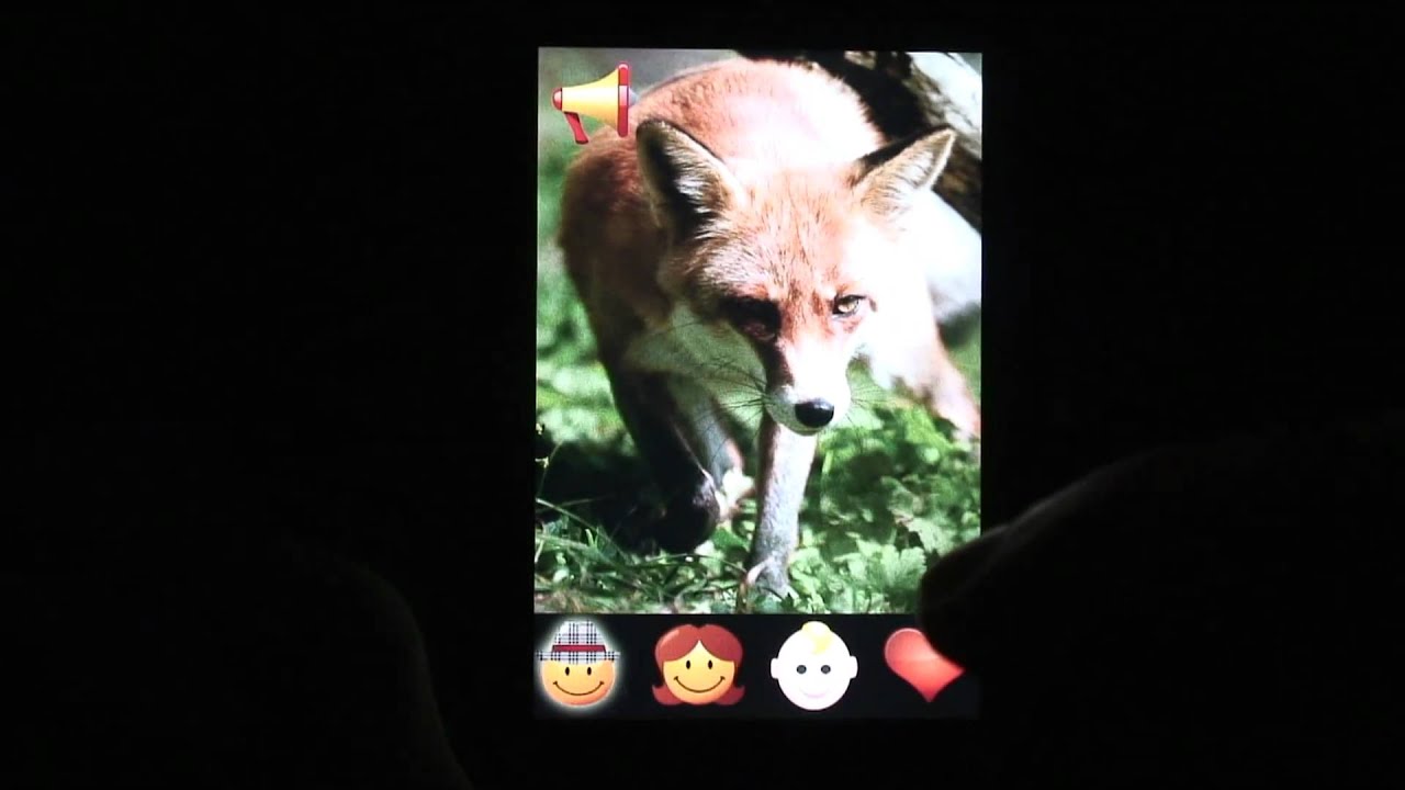 Zoola. Quick review HD - YouTube