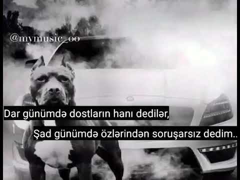 Vefasiz dost WhatsApp statusu