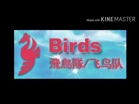 Team BIRDS inteo...GGO.