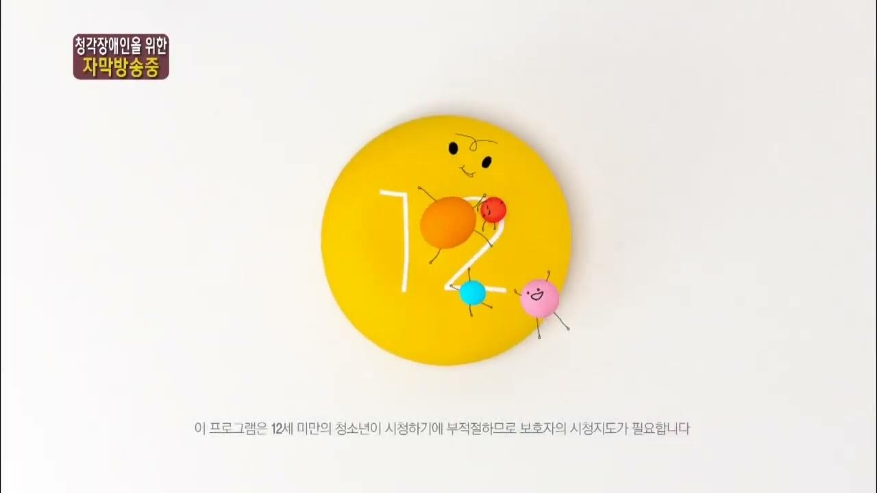 [중간화질] 2015년 KBS2 12세 연령고지 - YouTube