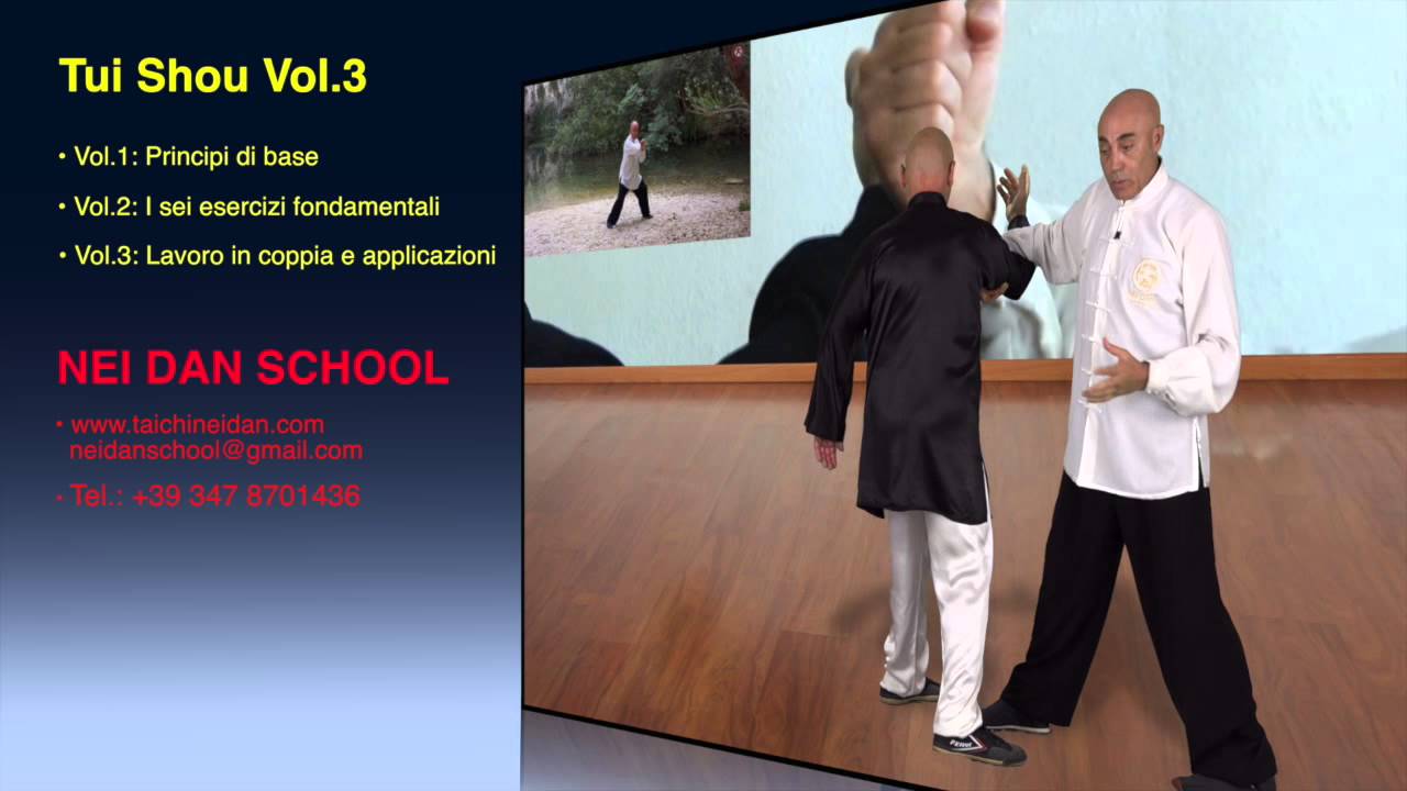 Nei Dan - Tui Shou - Vol. 3 - YouTube