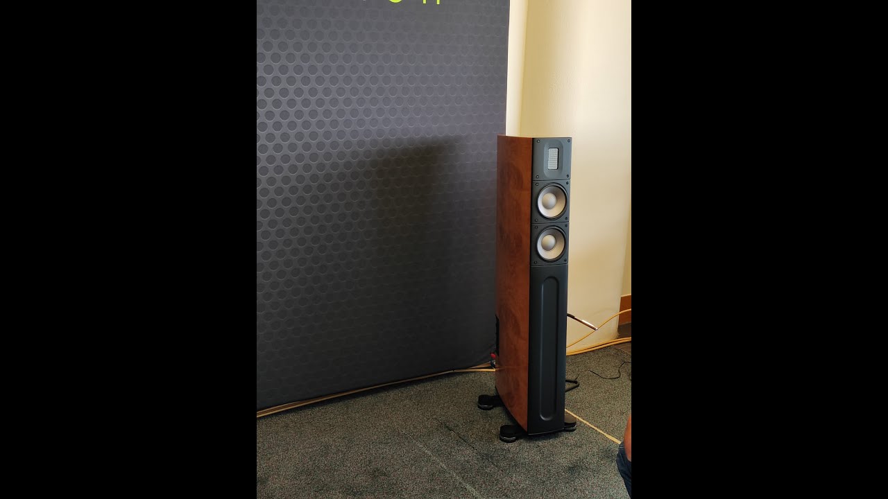 Raidho X2t - YouTube