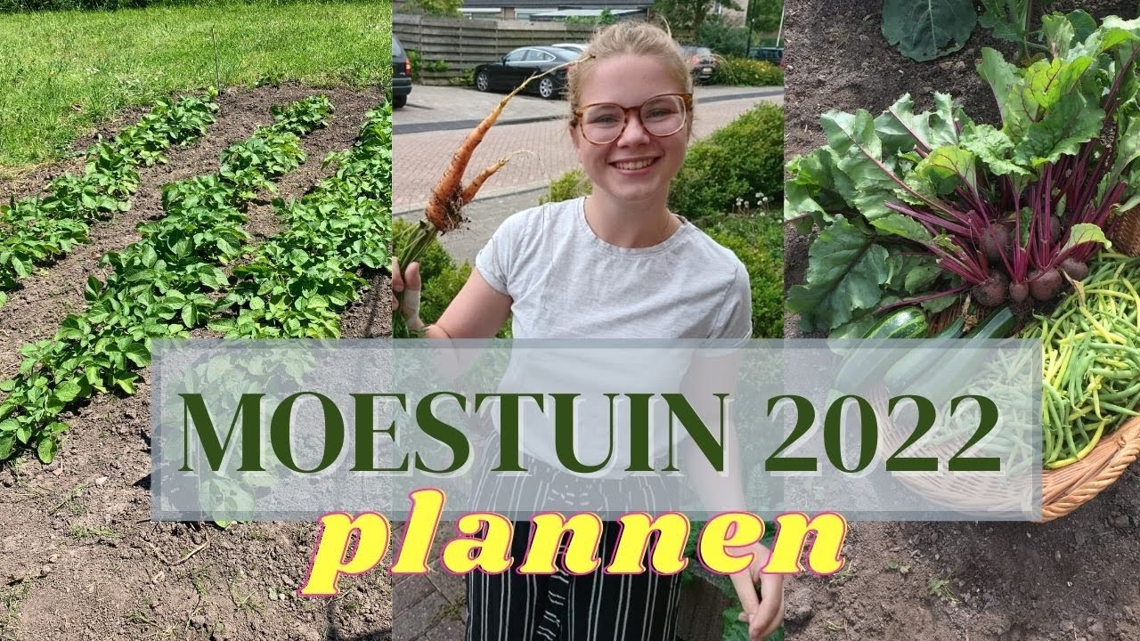 MOESTUIN PLAN 2022 | hoe plan je een moestuin? | Groenten kweken in een ...