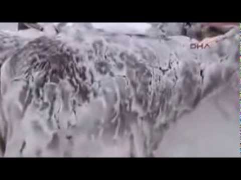 VİCDANLARDA BUZ TUTAR...\