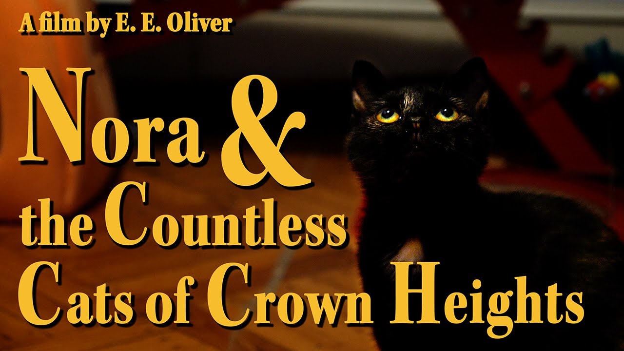 Nora and the Countless Cats of Crown Heights - YouTube