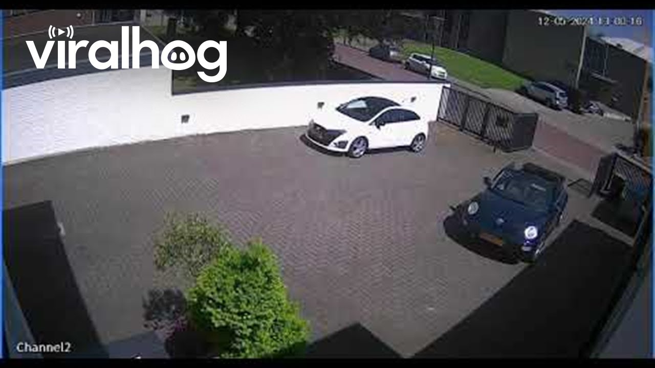Car Rolls Itself Into a New Parking Spot || ViralHog - YouTube