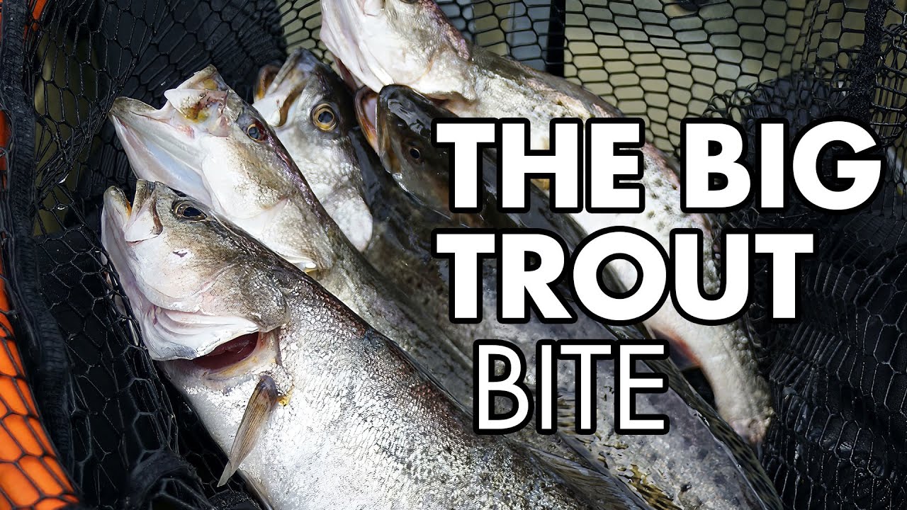 The Big Trout Bite - YouTube