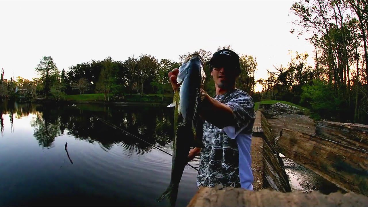 SECRET FISHING SPOT! Catching Black Bass on "HIDDEN" Private Lake ...