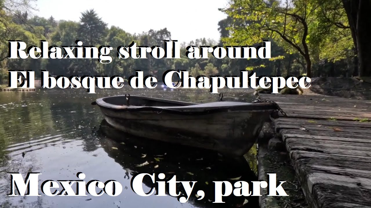 Quiet relaxing walk around El bosque de Chapultepec Park. Mexico City ...