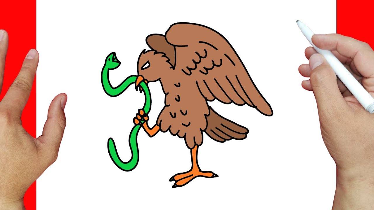 Como dibujar un aguila| Cómo dibujar Animales para niños - YouTube