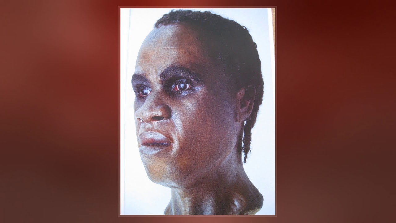 Mitochondrial Eve Reconstruction