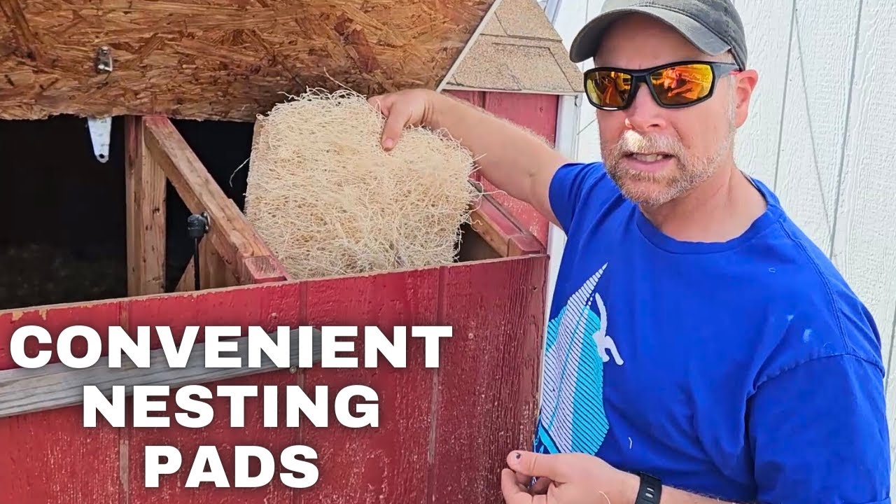 MagJo Premium Aspen Nesting Liners | chicken bedding for nesting box ...