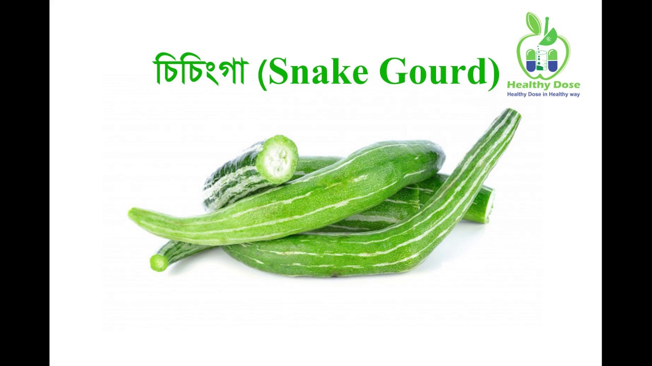 Bangladeshi Vegetable List with Bangla to English. - YouTube