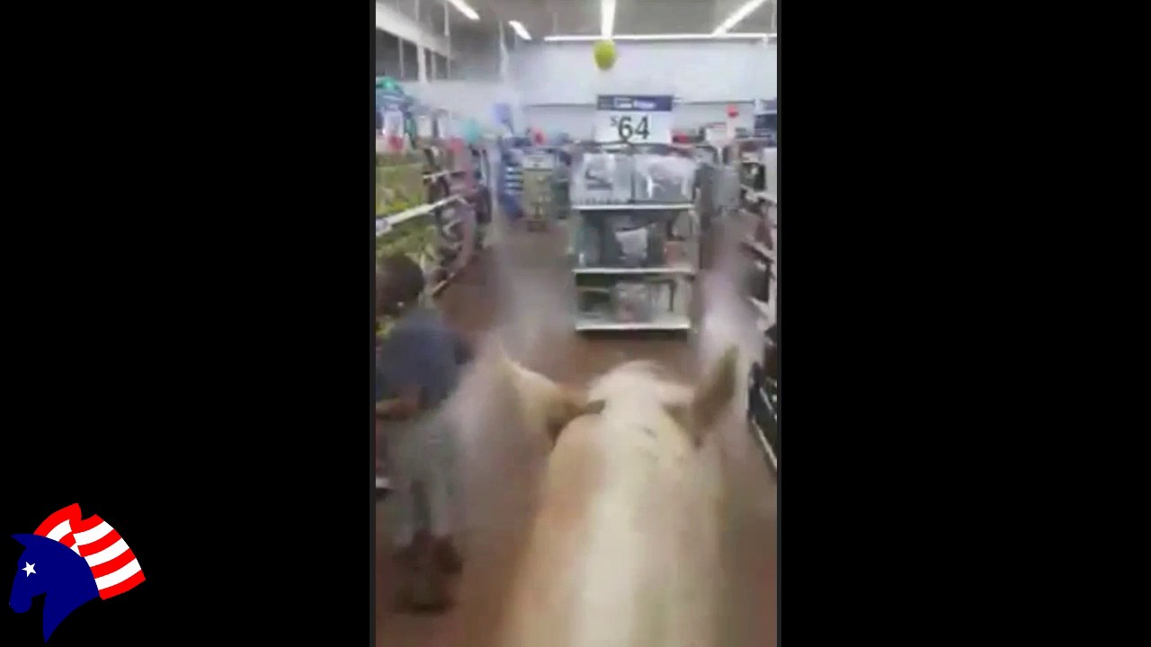 Men Ride Horses Through Walmart - YouTube